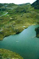 Holocene Epoch | Encyclopedia.com