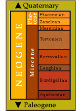 Miocene Epoch | Encyclopedia.com