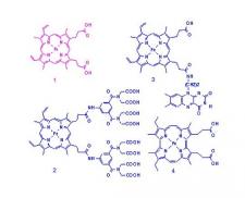 Myoglobin | Encyclopedia.com