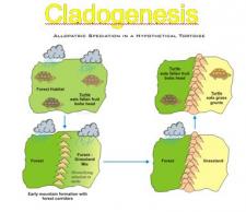 Chronospecies | Encyclopedia.com