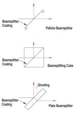 Pellicle | Encyclopedia.com
