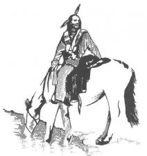 Comanche | Encyclopedia.com