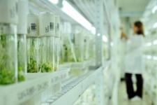 Gene Bank | Encyclopedia.com