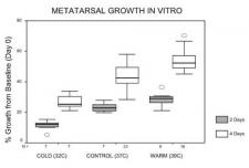Allens Rule | Encyclopedia.com