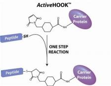 Hemocyanin | Encyclopedia.com
