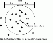 Lincoln Index | Encyclopedia.com