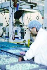 Mckee Foods Corp | Encyclopedia.com