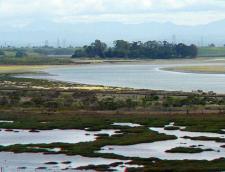 Slough | Encyclopedia.com