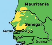 Wolof | Encyclopedia.com