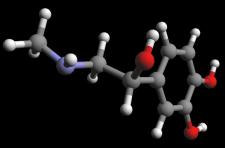 Adrenaline | Encyclopedia.com