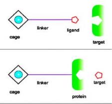 Ligand | Encyclopedia.com