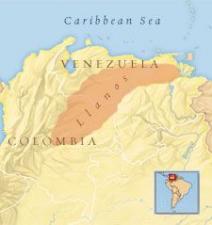 Llanos | Encyclopedia.com