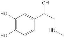 Epinephrine | Encyclopedia.com