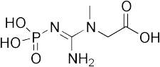 Phosphocreatine | Encyclopedia.com