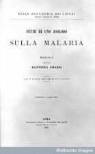 Giovanni Battista Grassi | Encyclopedia.com