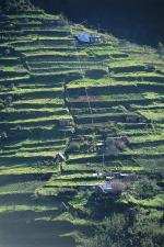 Terracing | Encyclopedia.com